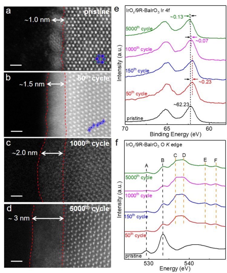 中国科学技术大学揭示铱基钙钛矿在酸性水氧化反应中的活性层结构演化 —中国教育在线
