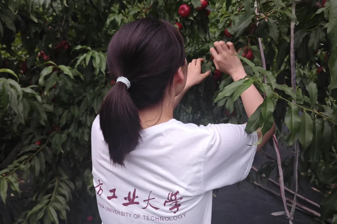 北方工大学子赴平谷熊儿寨：红韵赋能乡村，思政擘画振兴 —中国教育在线